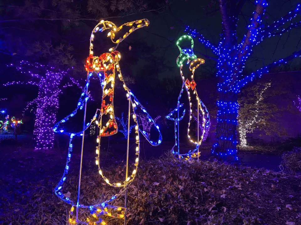 5 Must-Do Holiday Activities in Indiana This December - Get Indiana.