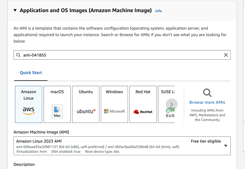 Deploying Llama 3.2 11B on AWS: A Step-by-Step Guide