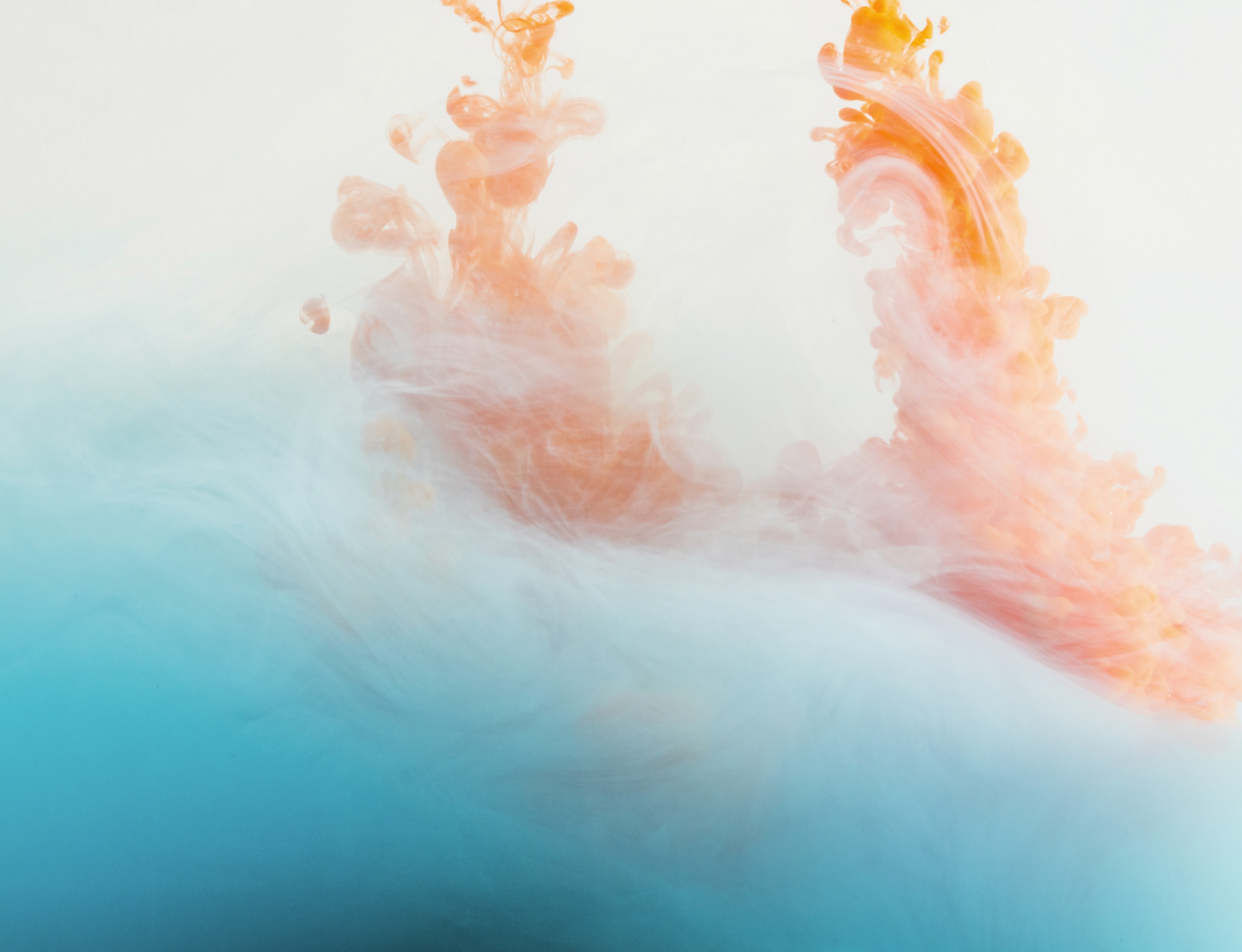 Understanding Purchase Intent: Definition and Importance