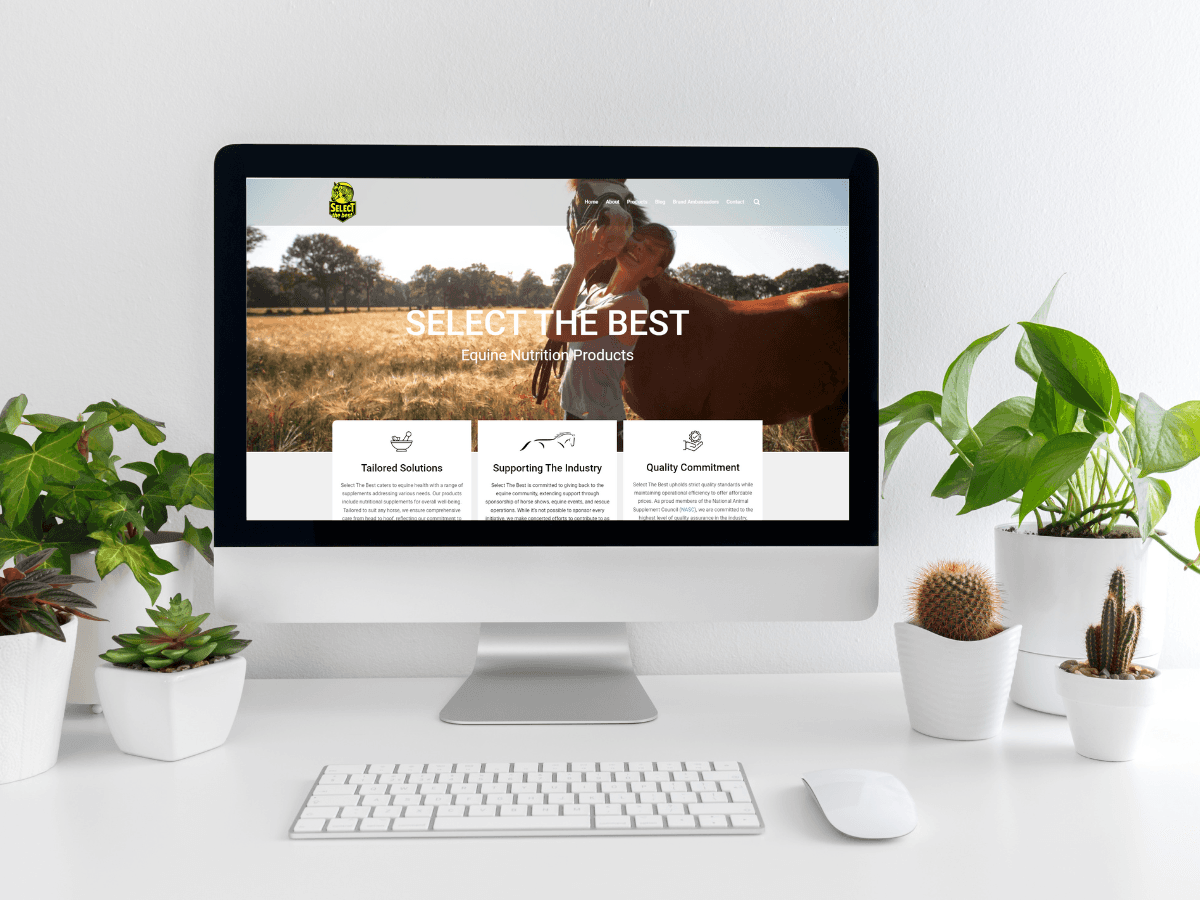 Sierra Edge Web Design | Carson City, NV