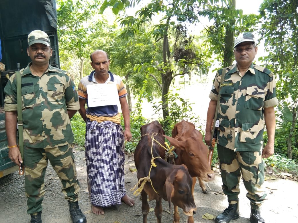 About Dhyan Foundation | Teachings, Karma and Service