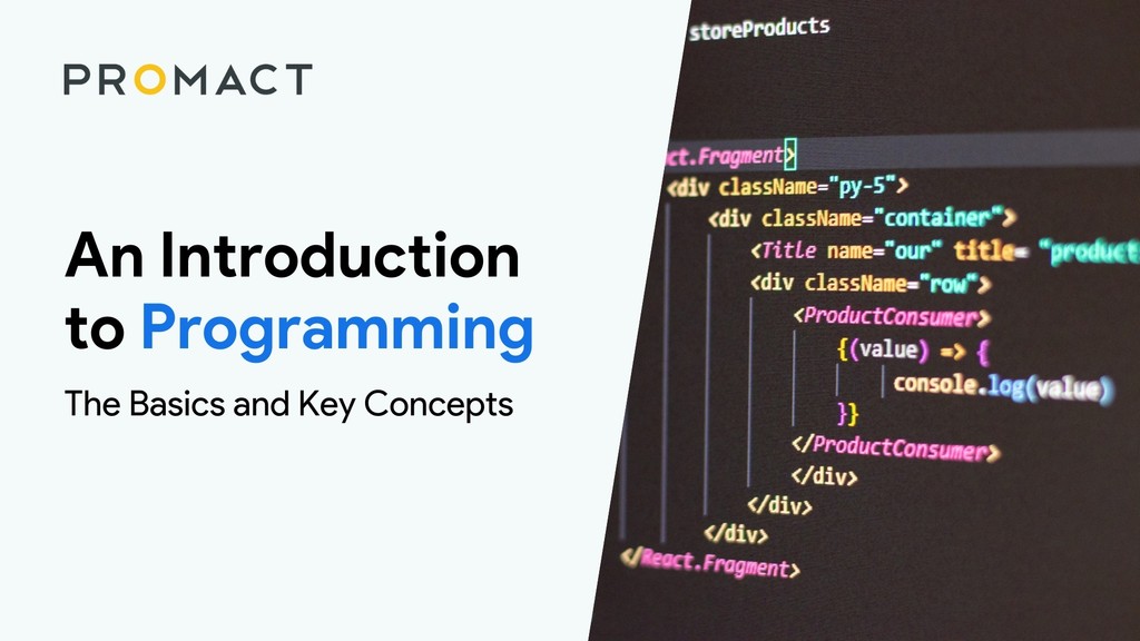 An Introduction to Programming: The Basics and Key Concepts - Promact