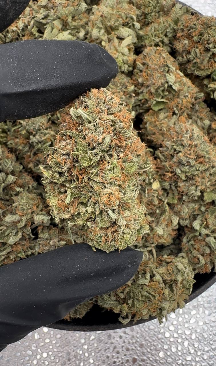 Flower - Cali Exotics