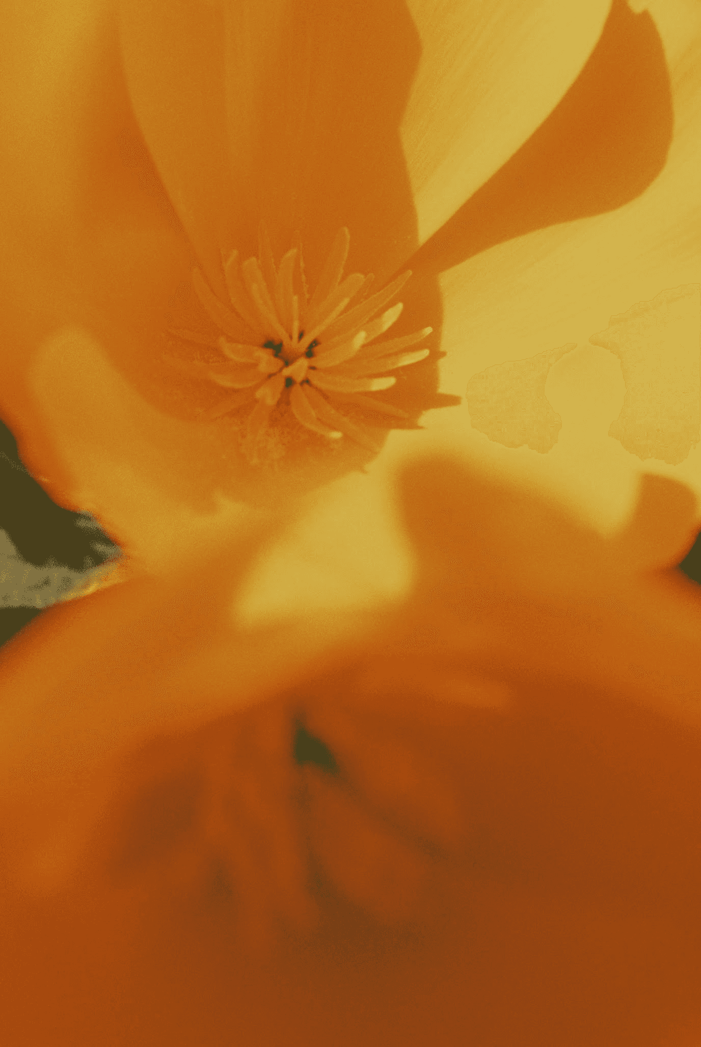 idle + wonder | rekindle your spark