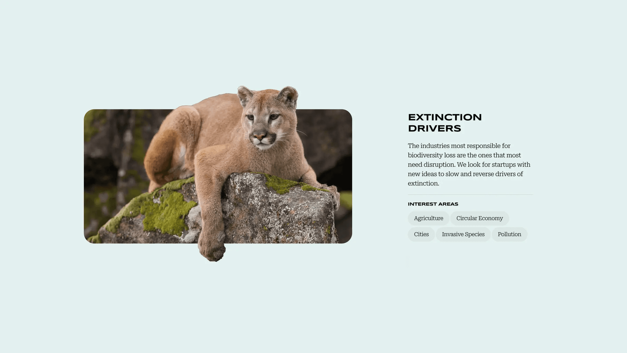 Parallax Image Scroll Animation in Framer — Framer Resource