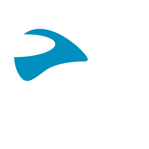 Cardo Brand Guidelines