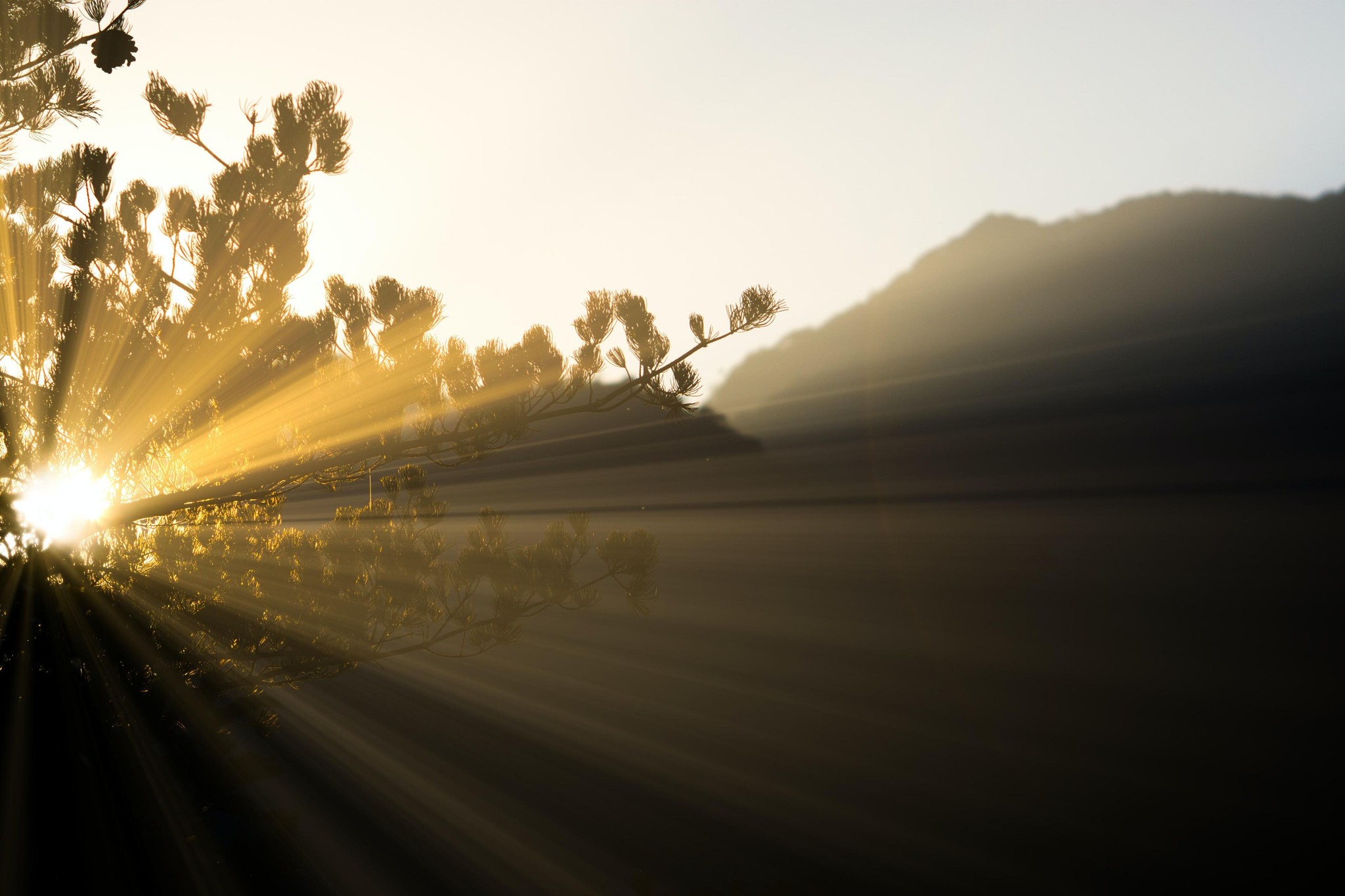 Shadowmap | Aprenda
