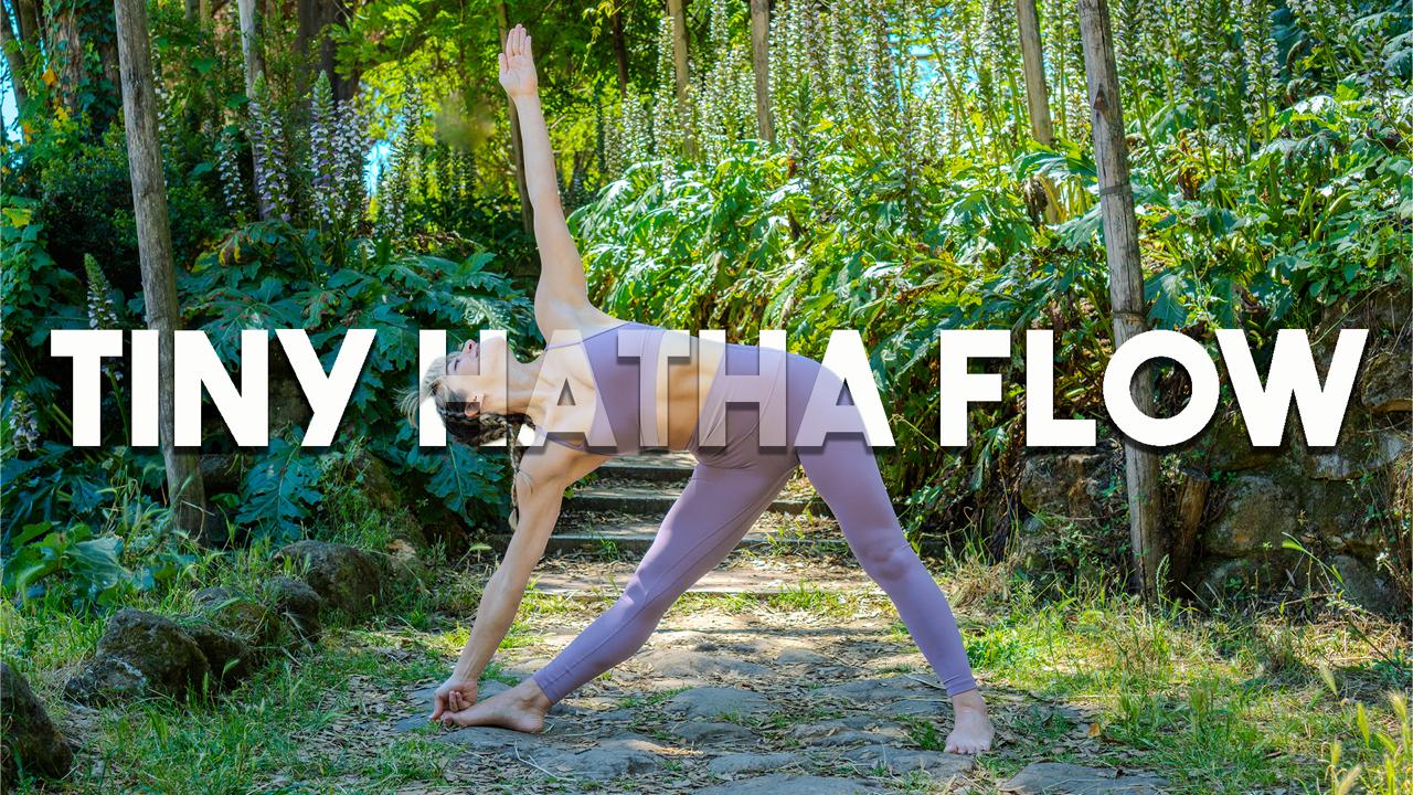 Tiny Yoga Academy