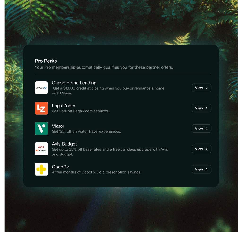 Perplexity Pro Perks