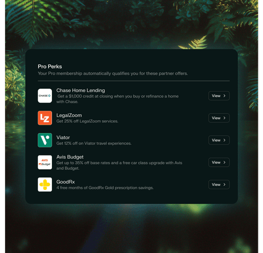 Perplexity Pro Perks