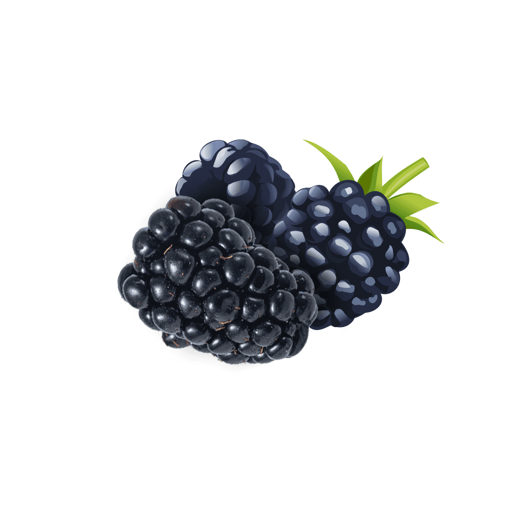 8 Berries - The World of Berries