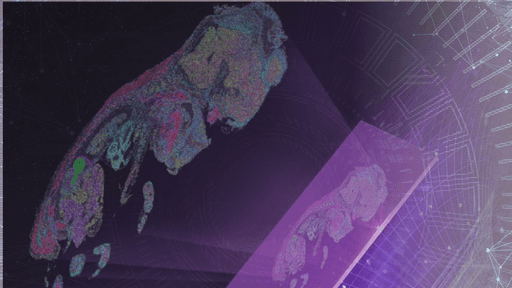 Spatial Transcriptomics: Mapping Gene Expression in Tissue Context ...