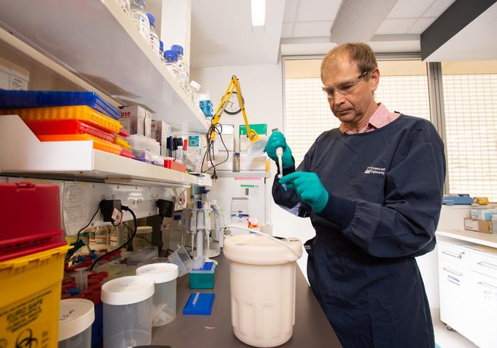 Protein Nano-Switches: Building Better Diagnostics for the Future