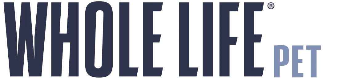 AI Video Loop Generator by Creatify | Create Infinite Loops