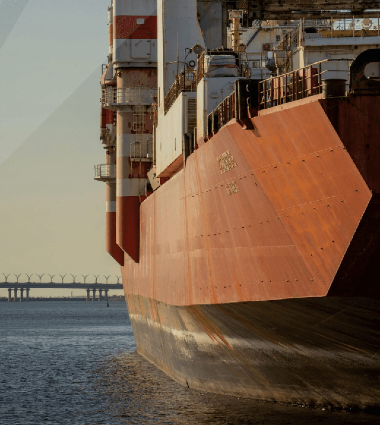 DryBMS: Overview of the Highest Safety Standard for the Dry Bulk Sector
