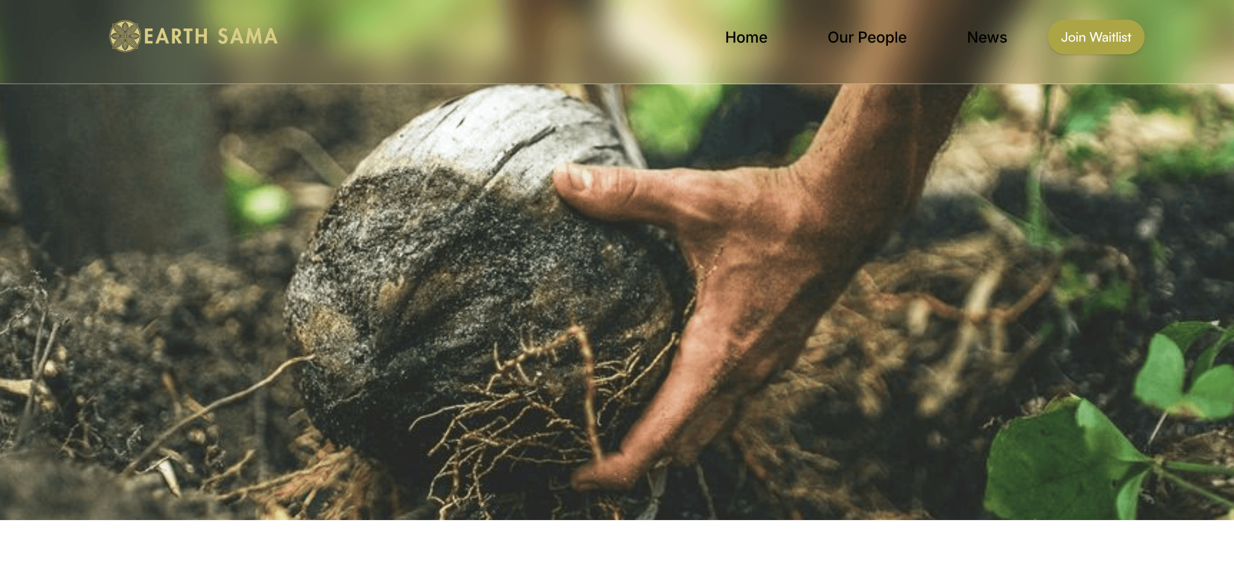 Widespread Global Problem: Burning of Mangroves - Co2e