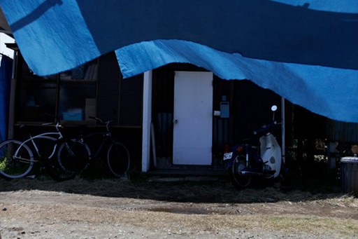 My Dearest Blue… - Litmus