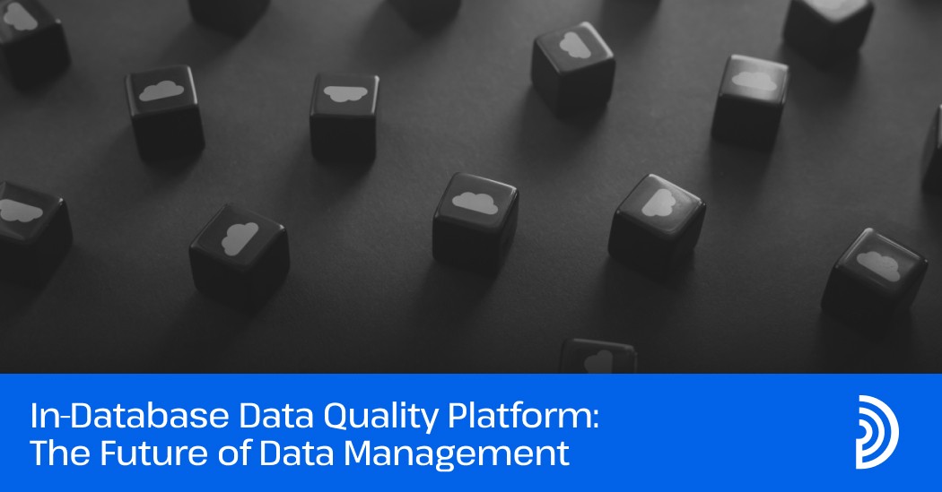 In-Database Data Quality Platform: The Future of Data Management