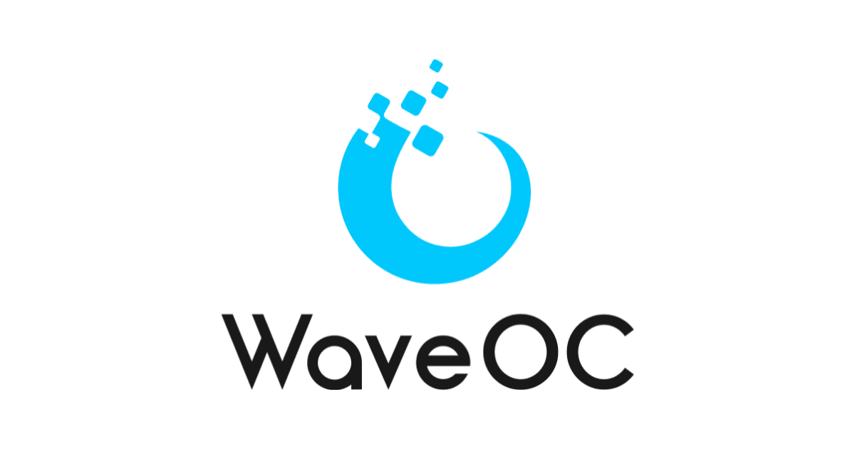 WaveOC - Comprehensive IT Outsourcing and Development Solutions