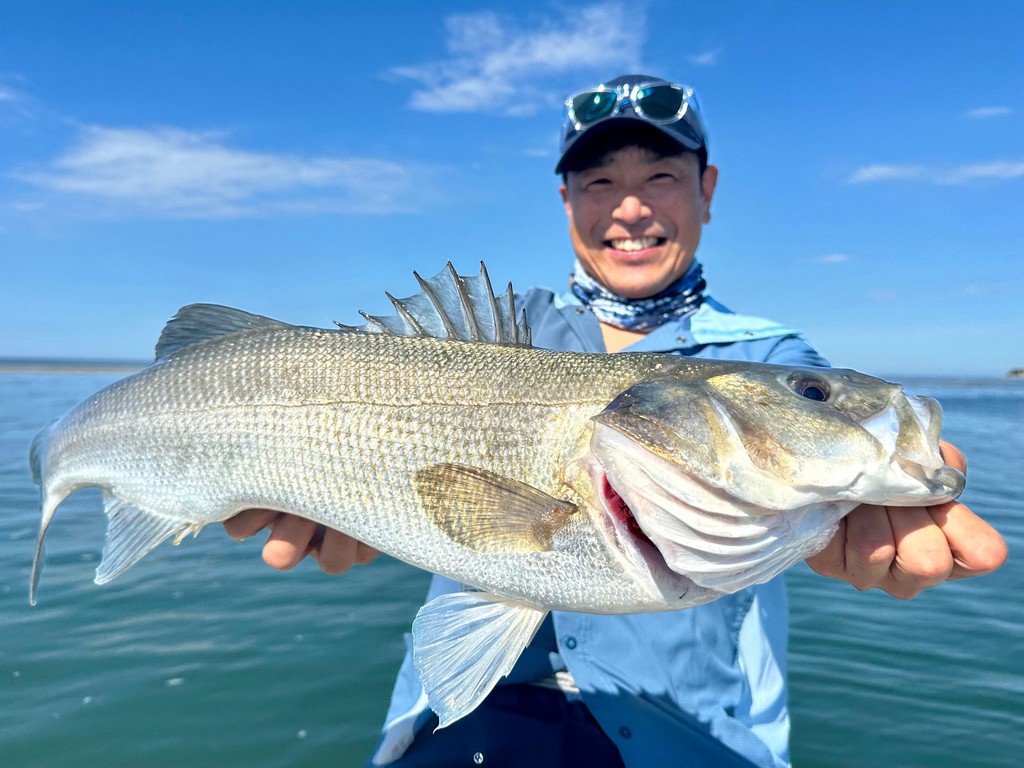 Fly Fishing and Spinning in the Grado Lagoon, an hour from Veniece