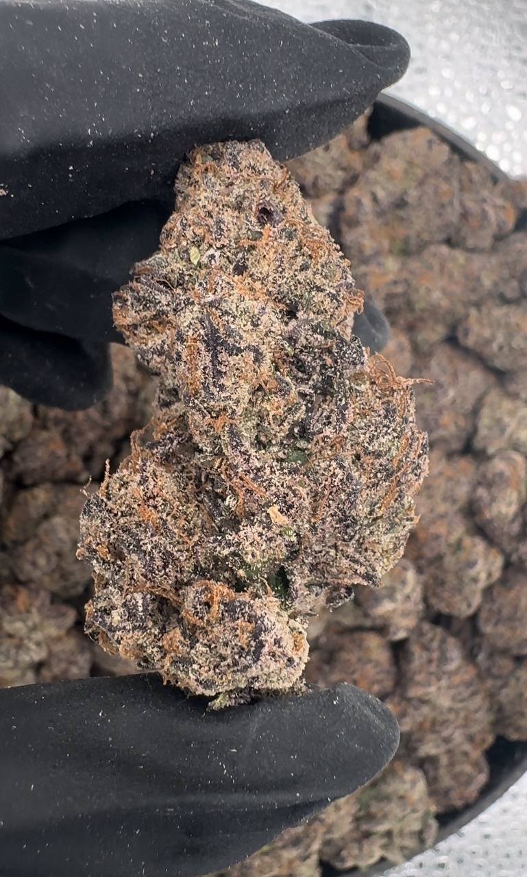 Flower - Cali Exotics