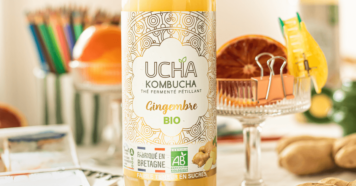 Kombucha gingembre : tonus naturel et goût intense | UCHA