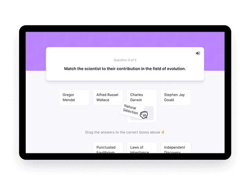 Conker - Generate Math Tests with Precision