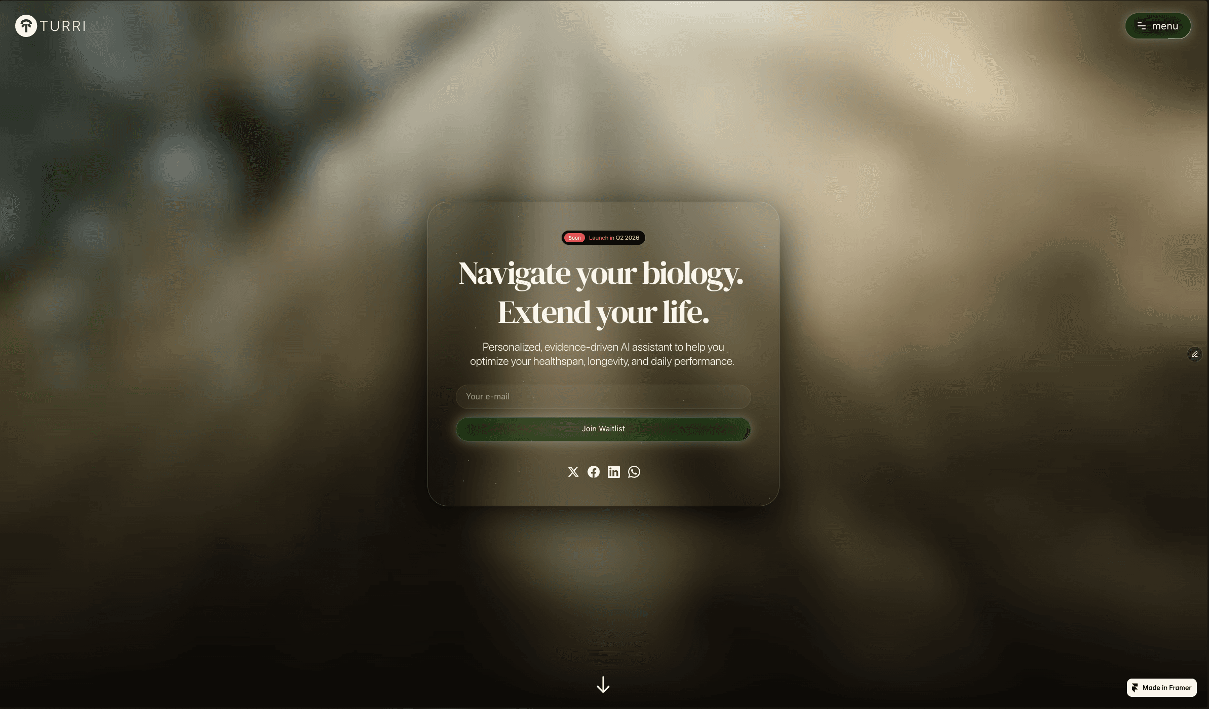 Navigate Your Biology | TURRI.ai