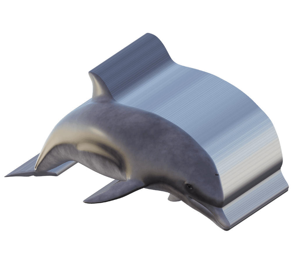 Tips & Tricks for Wizz: Maximize Your Experience