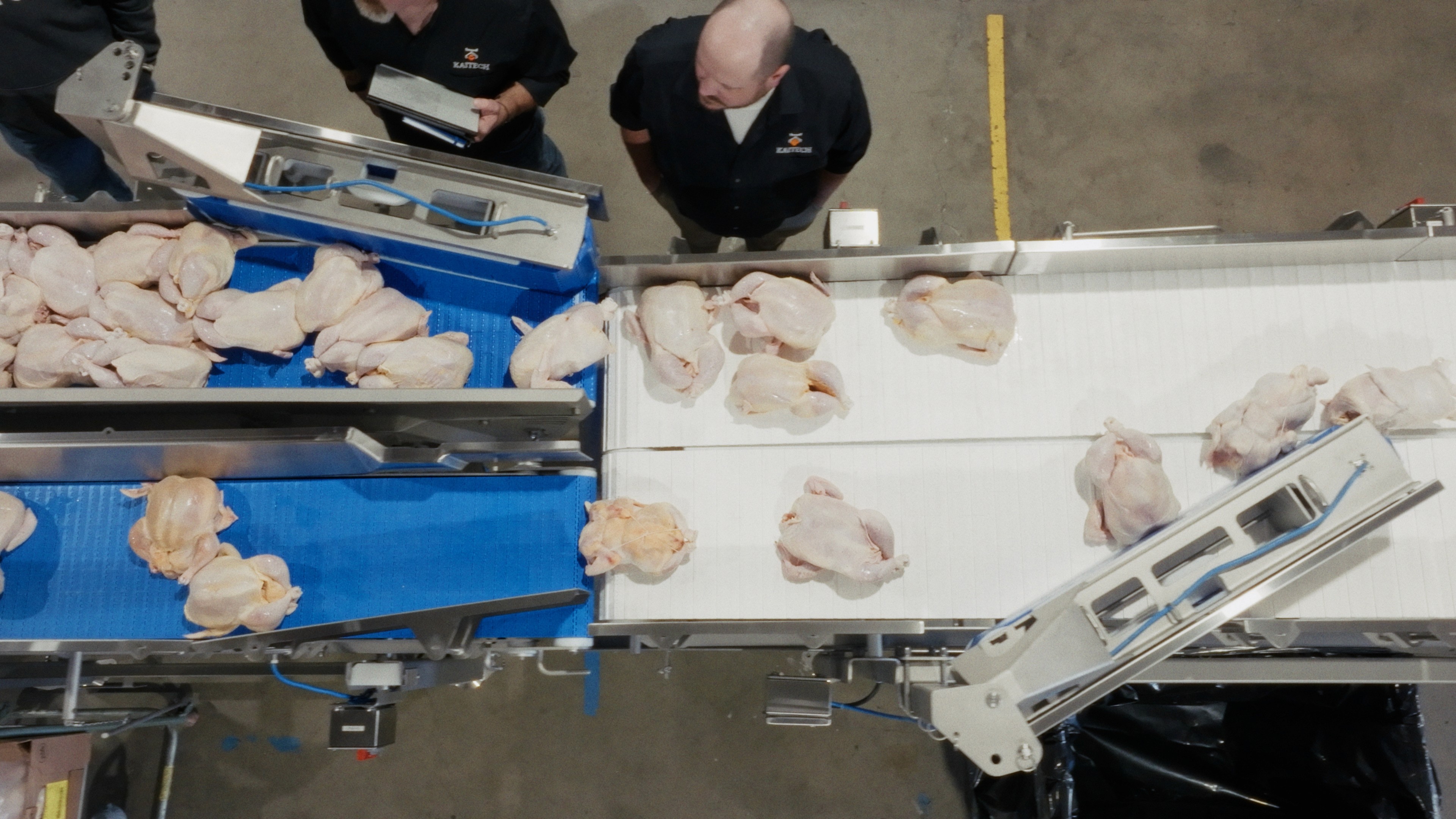 Nelson Integrated - Custom Washdown Robotic Packaging