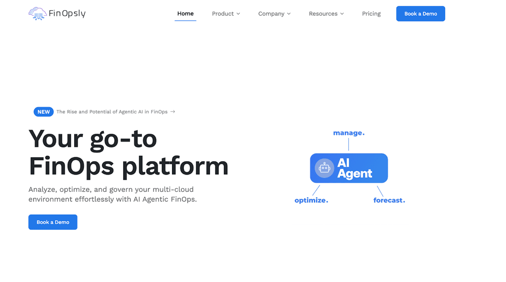 Top 26 FinOps Tools to Look Out for in 2025: A Guide | Amnic