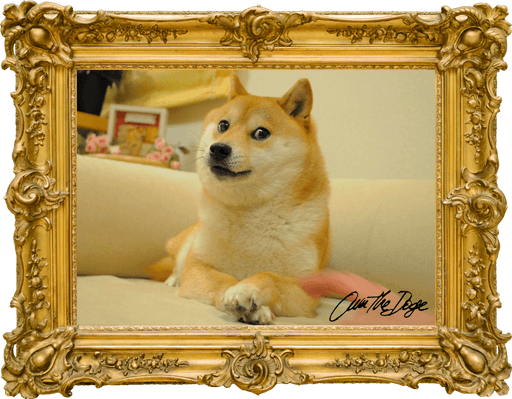 Own The Doge: Welcome to the Cultural Institute of Doge