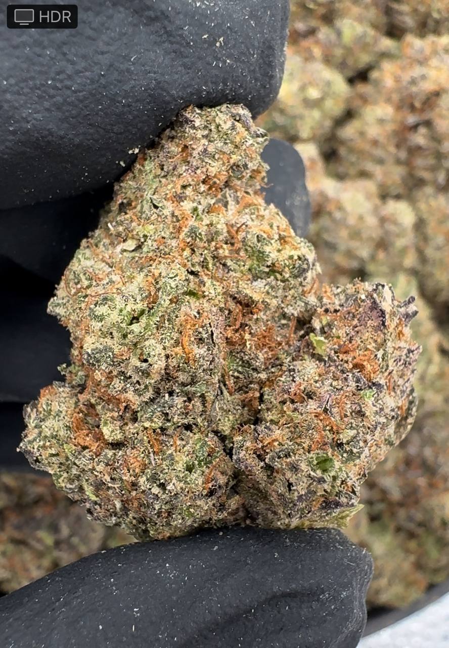 Flower - Cali Exotics