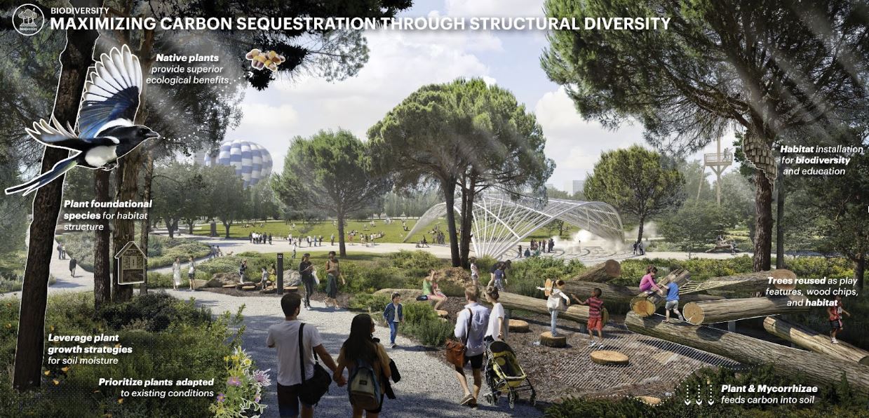 Carbon Conscience by SASAKI