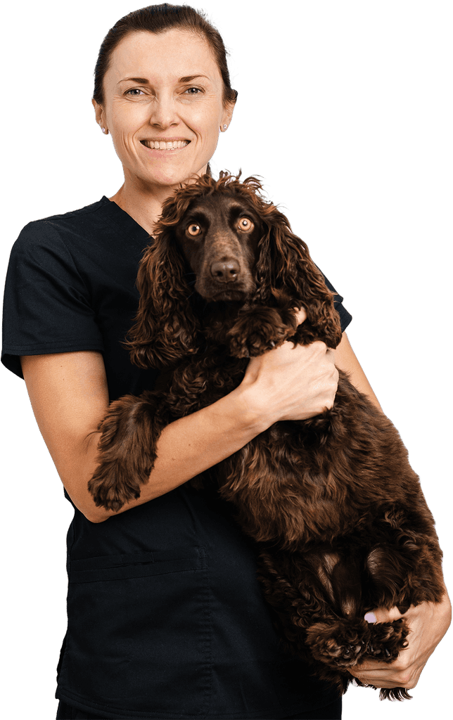 Noble Veterinary Clinics: Dubai Vet, 24/7 Emergency Care