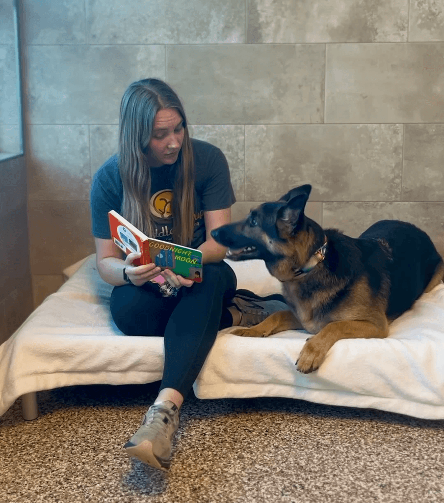 Dog Boarding - Cuddle Up Pup