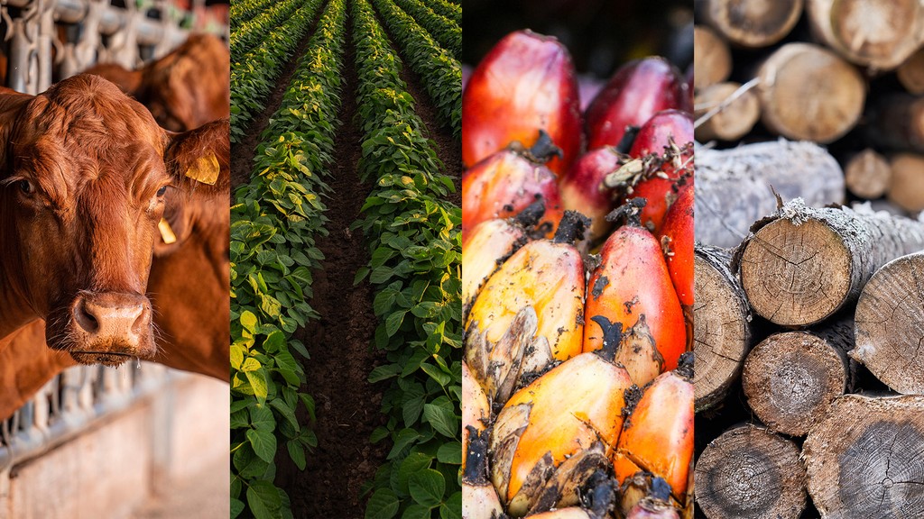Which industries drive the most deforestation? The data explained ...