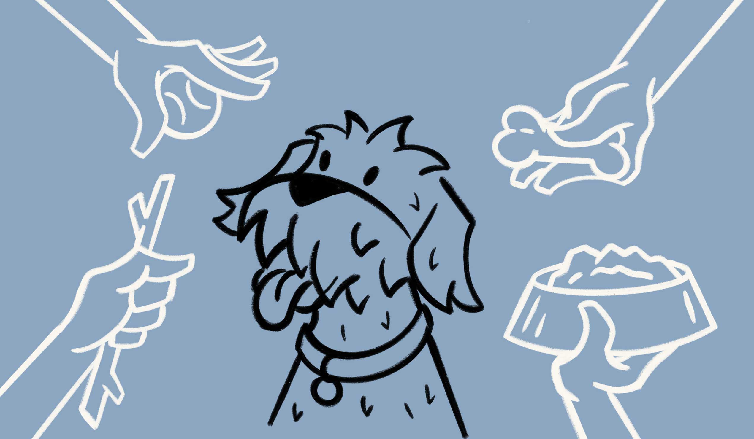 Signal Theory: Building Brands Through Behavioral Science