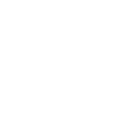 The Leading Freight Forwarder Network in LATAM | Twig Network