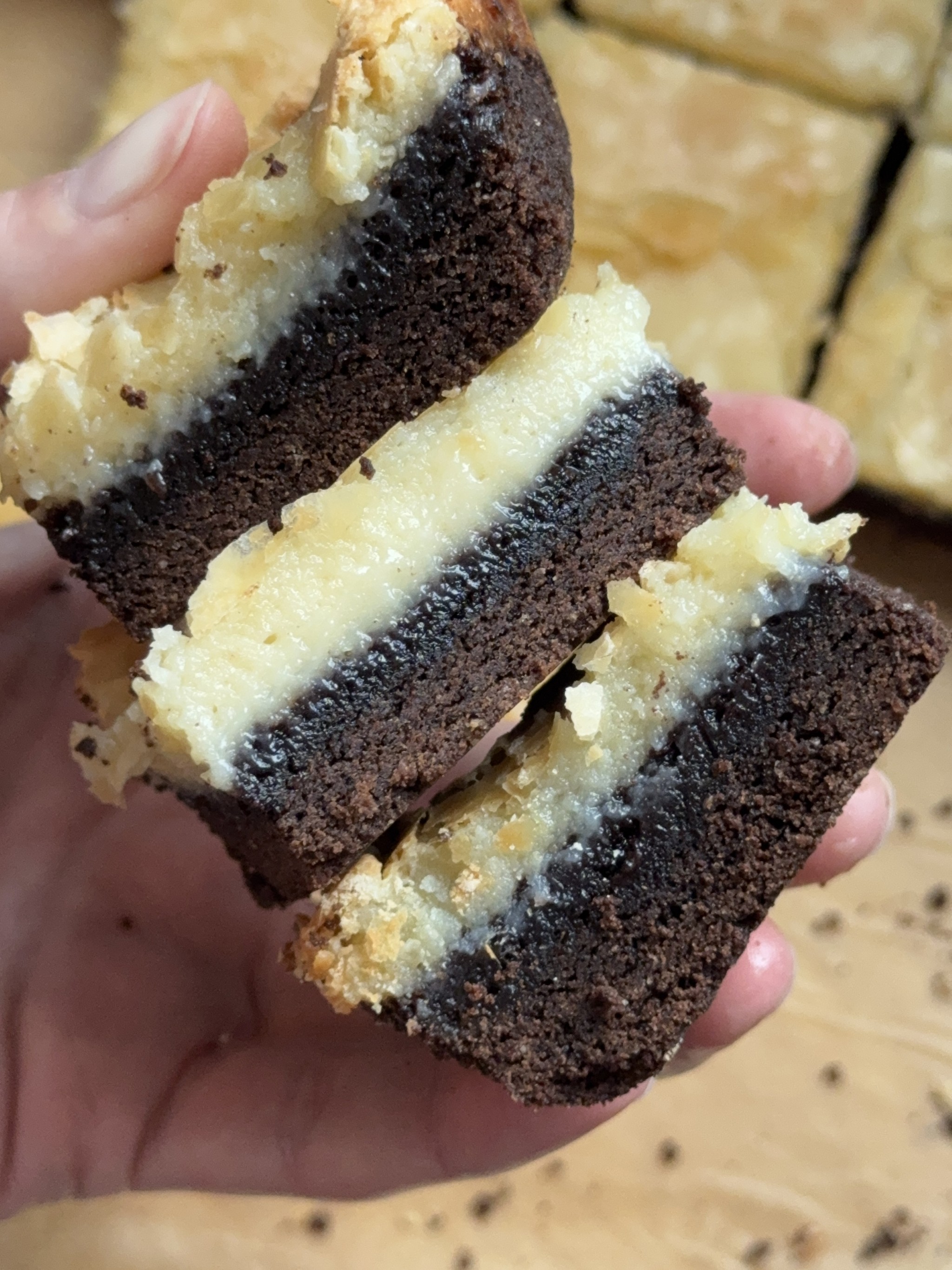 Gooey Politics Squares | Bites By The Page