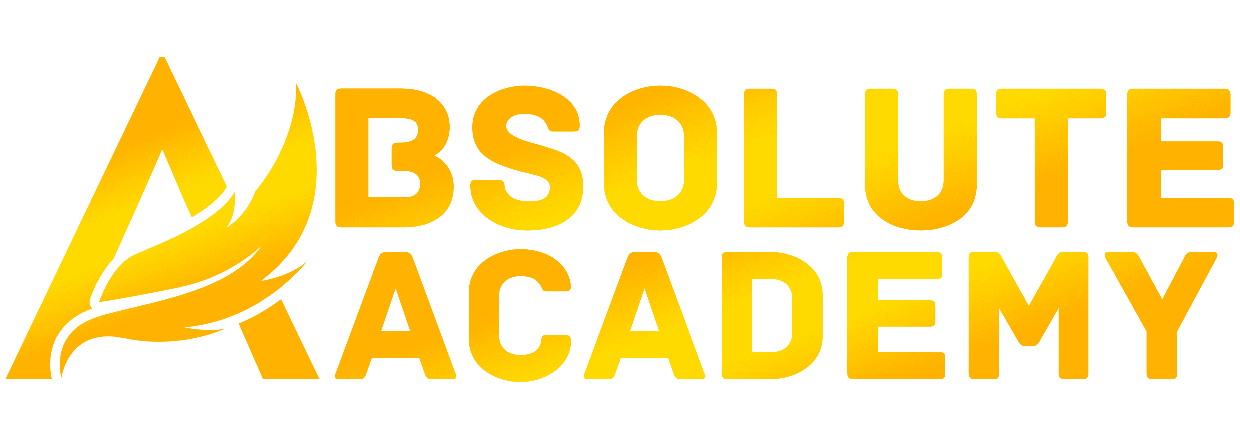 Absolute Academy