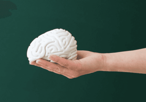 Neurobit Research Blog | Scientists Discover a New Daily Rhythm ...