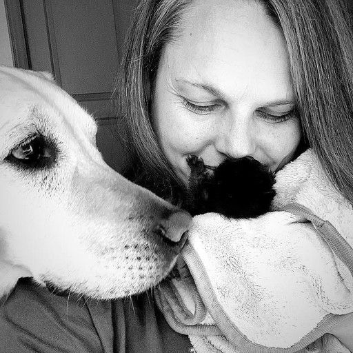 Jared Gray For Mayor