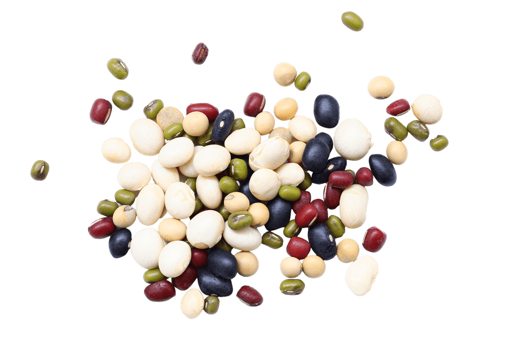 Masterly Food | Home