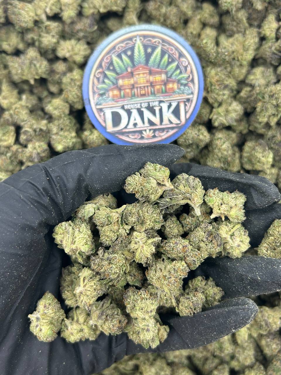 House of Dank