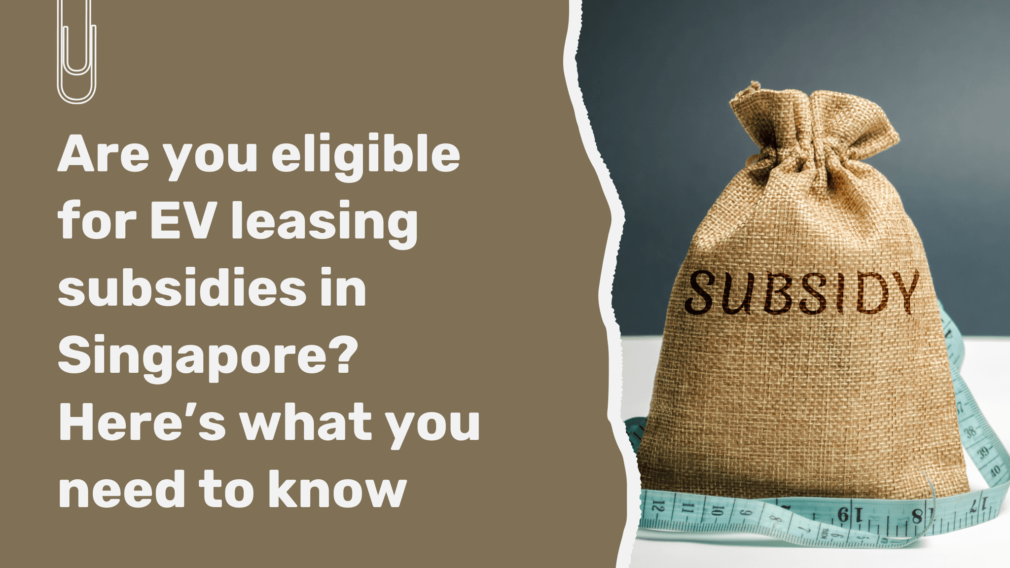 Are You Eligible for EV Leasing Subsidies in Singapore? Here’s What You ...
