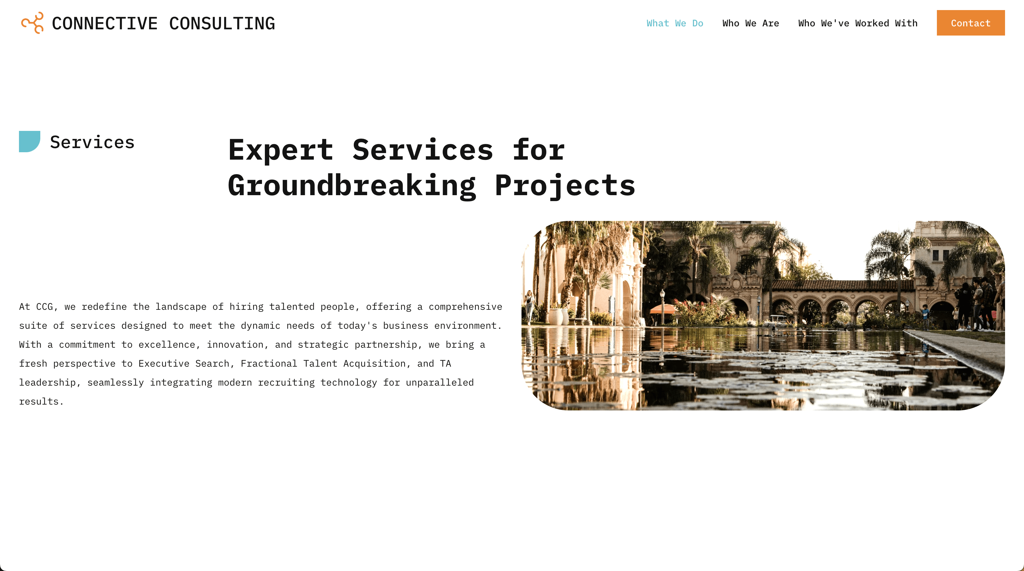 Connective Consulting - What We Do