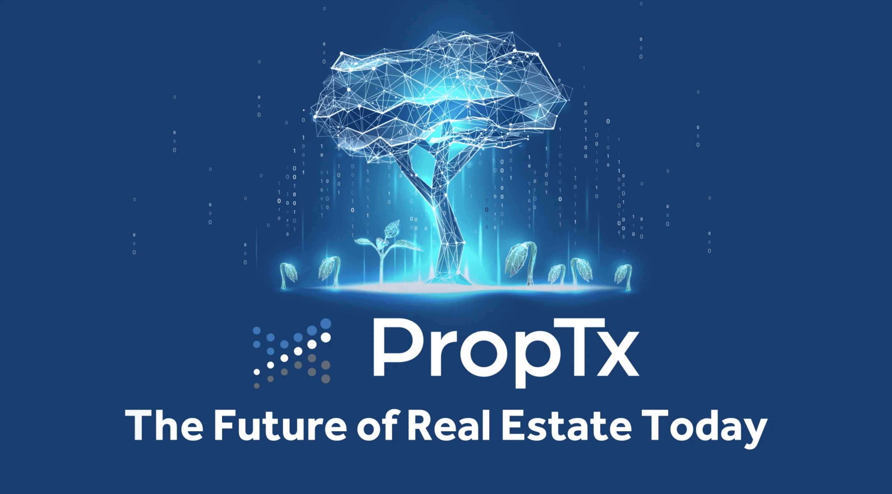 PropTx Verify