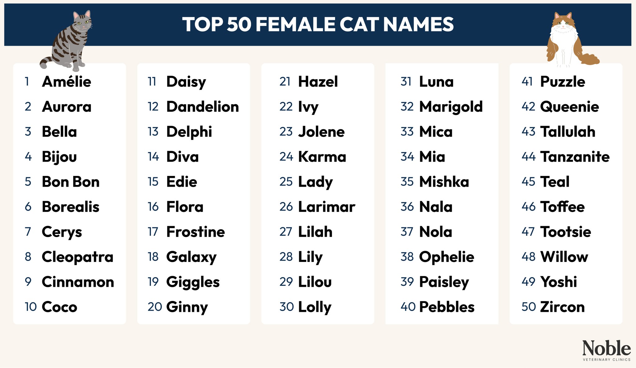 300 Best Cat Names: Choose the Perfect One for Your Pet!
