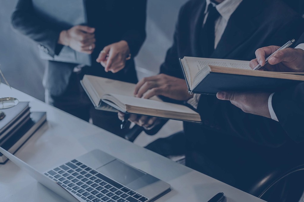 Appellate Advocacy: The Next Generation | Lerners LLP Full Service Law Firm